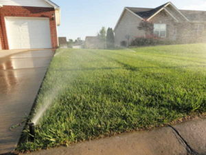 Lawn Damage from Heat Stress | TurfGator