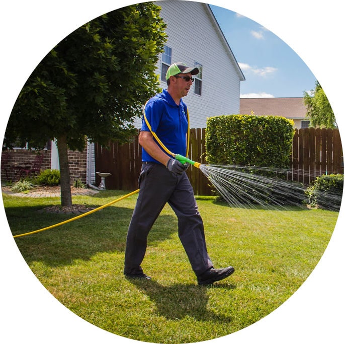 Lawn Care Services for a Healthy Weed Free Lawn | TurfGator