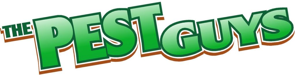 Pest Control Solutions | The Pest Guys